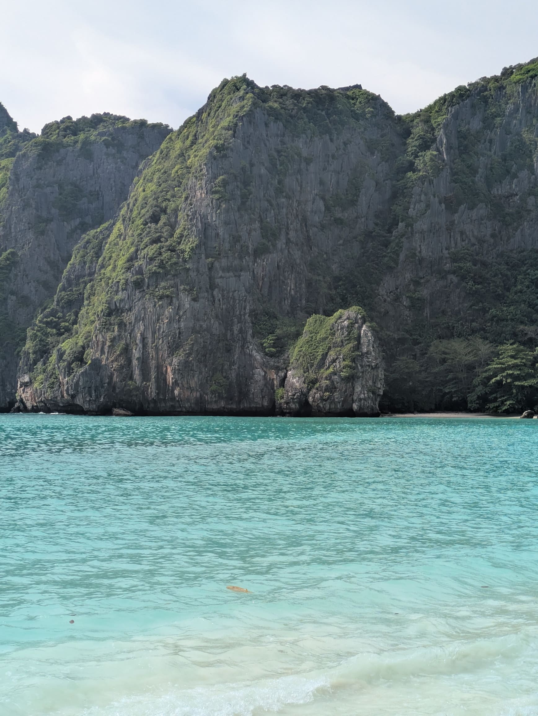 Maya Bay, todo lo que necesitas saber para visitar la playa en 2026