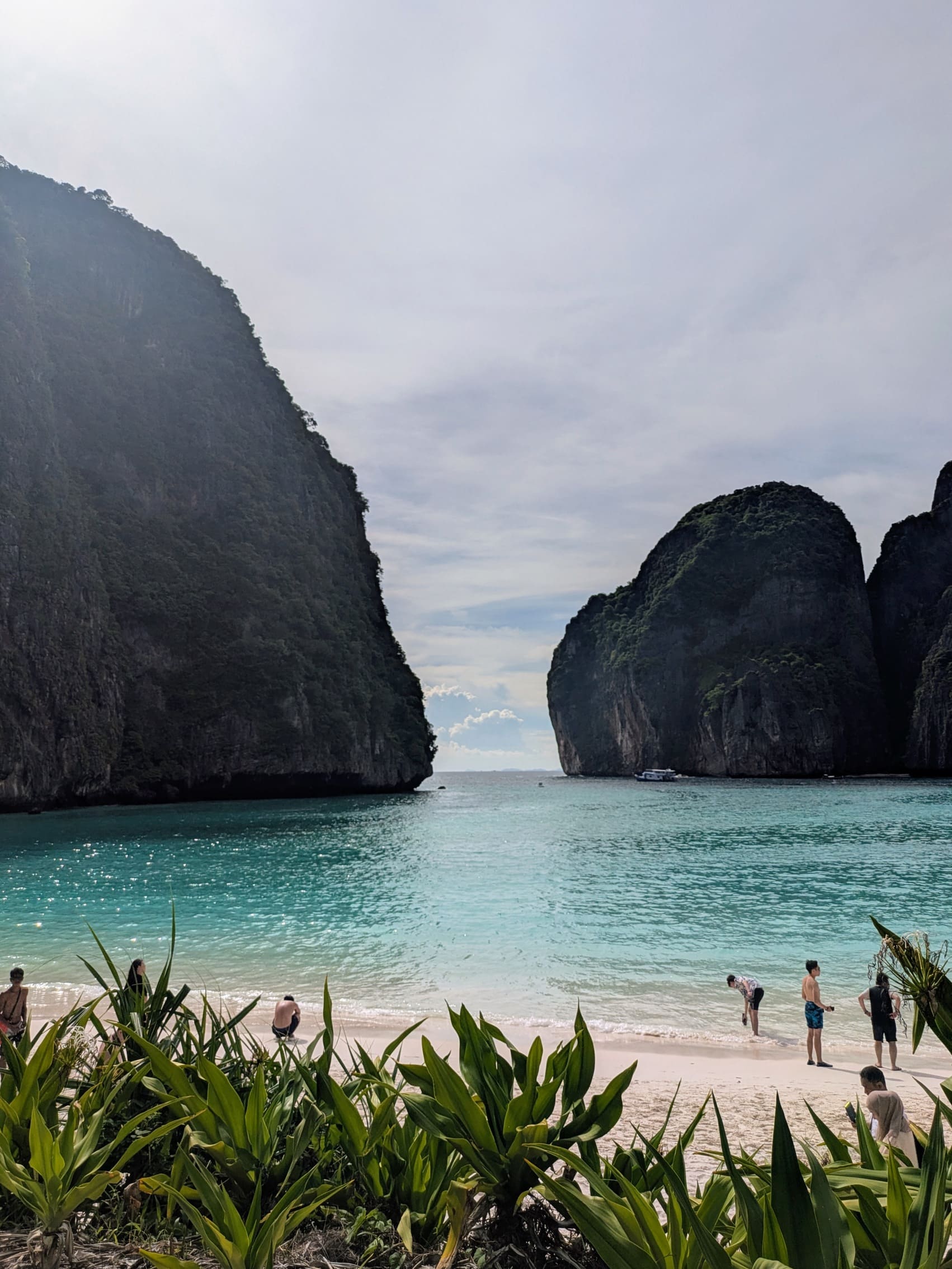 Maya Bay, todo lo que necesitas saber para visitar la playa en 2026